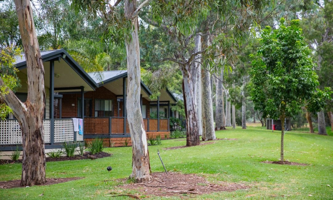 Marion Holiday Park | Adelaide | Best Price Guarantee